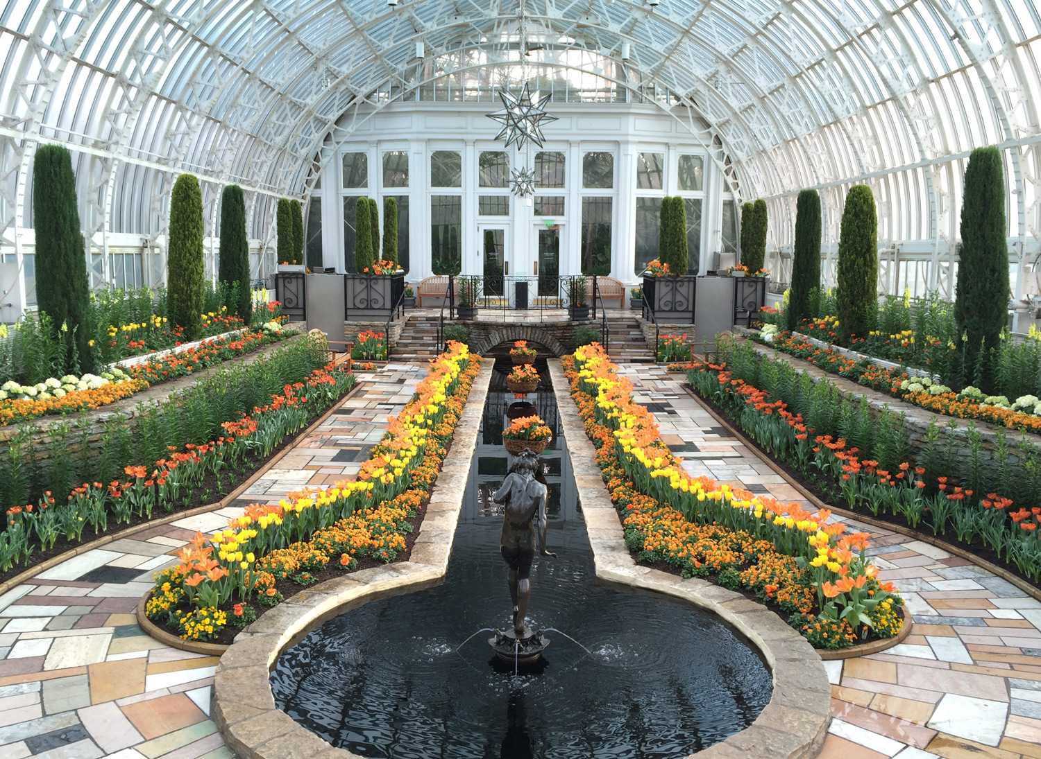 Como Park’s Spring Flower Show Brings A Sunny Array to the Sunken ...
